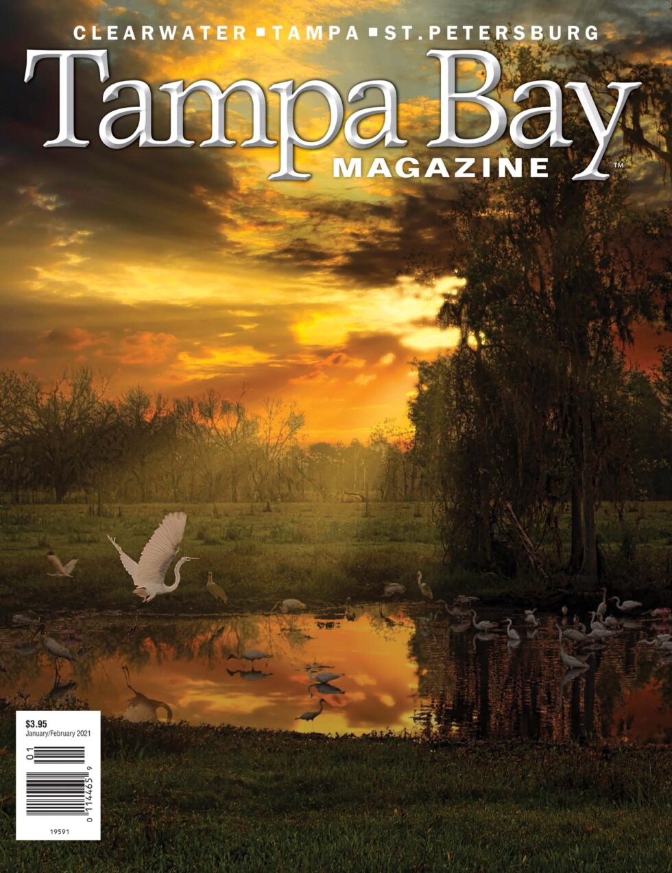Home - Tampa Bay Magazine