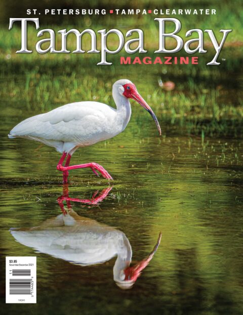 Home - Tampa Bay Magazine